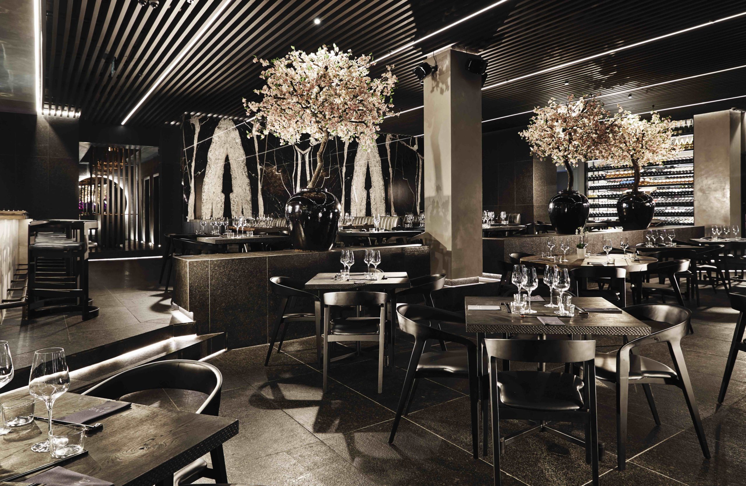 TANG SPREADS ITS WINGS TO THE MOTHER CITY - Hypress Live