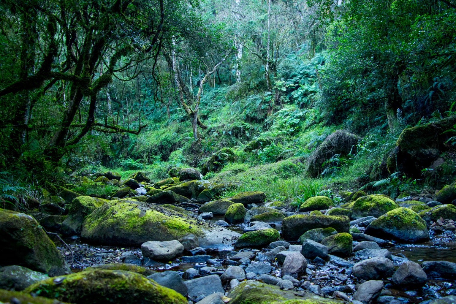 NATIONAL GEOGRAPHIC PHOTO COMPETITION 2022 NOW OPEN FOR ENTRIES ...