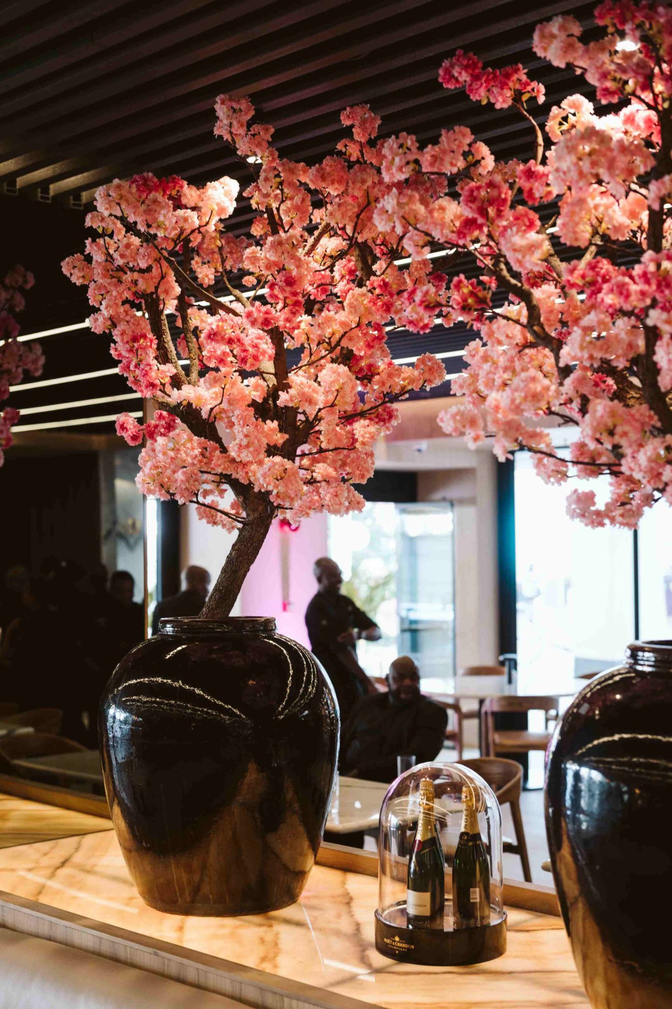 TANG OFFICIALLY OPENS AT THE V&A WATERFRONT - Hypress Live